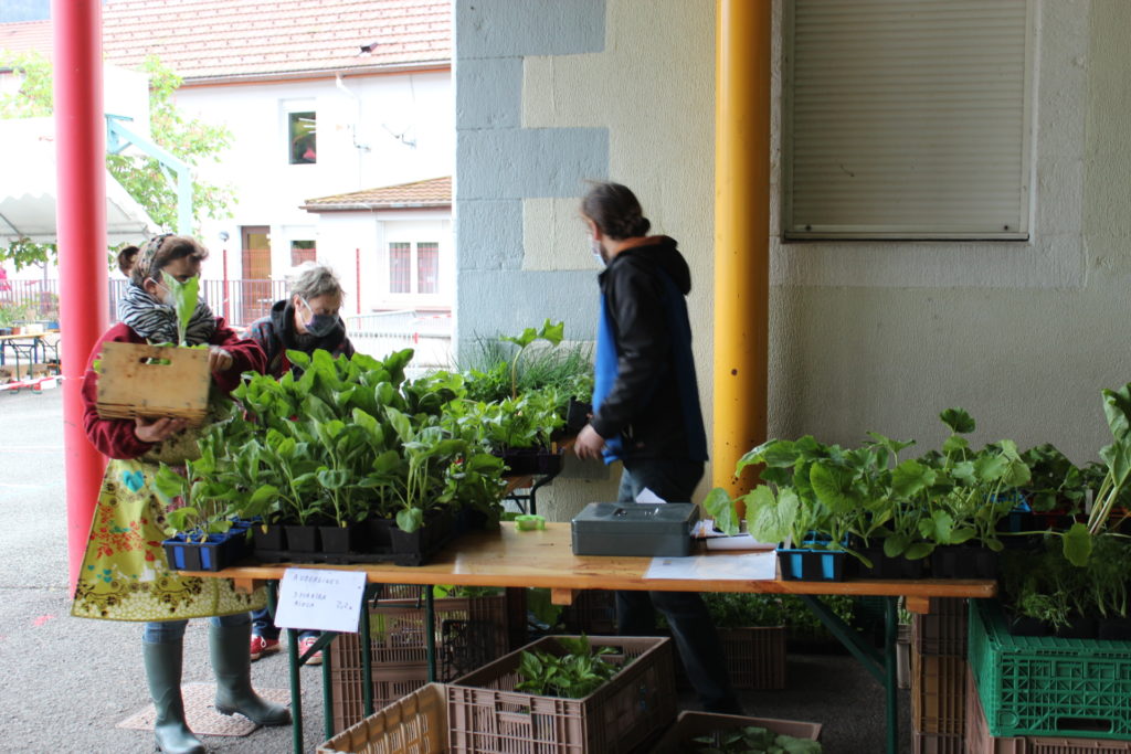 Bourse aux Plantes de Cornimont - AMAP Les Choucas Gourmands Bourse aux Plantes de Cornimont - AMAP Les Choucas Gourmands