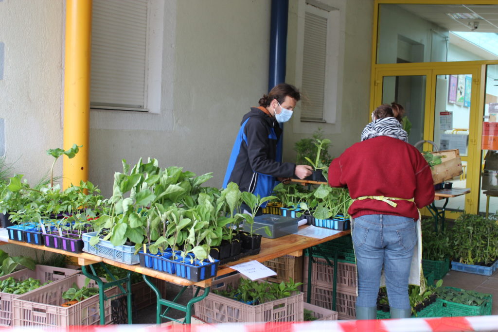 Bourse aux Plantes de Cornimont - AMAP Les Choucas Gourmands Bourse aux Plantes de Cornimont - AMAP Les Choucas Gourmands